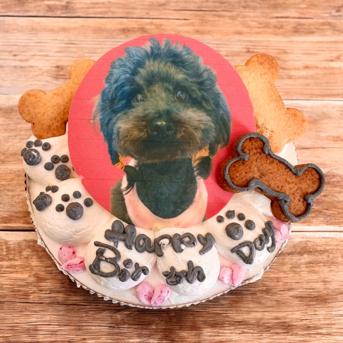 安心無添加！愛犬の証明写真でハッピーバーズデーケーキ-5号（Gaby Gaby） | Cake.jp