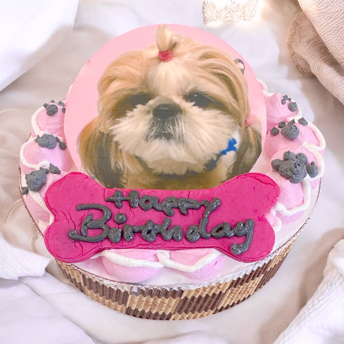 安心無添加！愛犬のとっておきの一枚で特別なバースデーケーキ-4号（Gaby Gaby） | Cake.jp