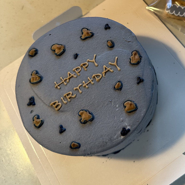 豹柄センイルケーキ♪選べる9色 4号（Rstyle） | Cake.jp